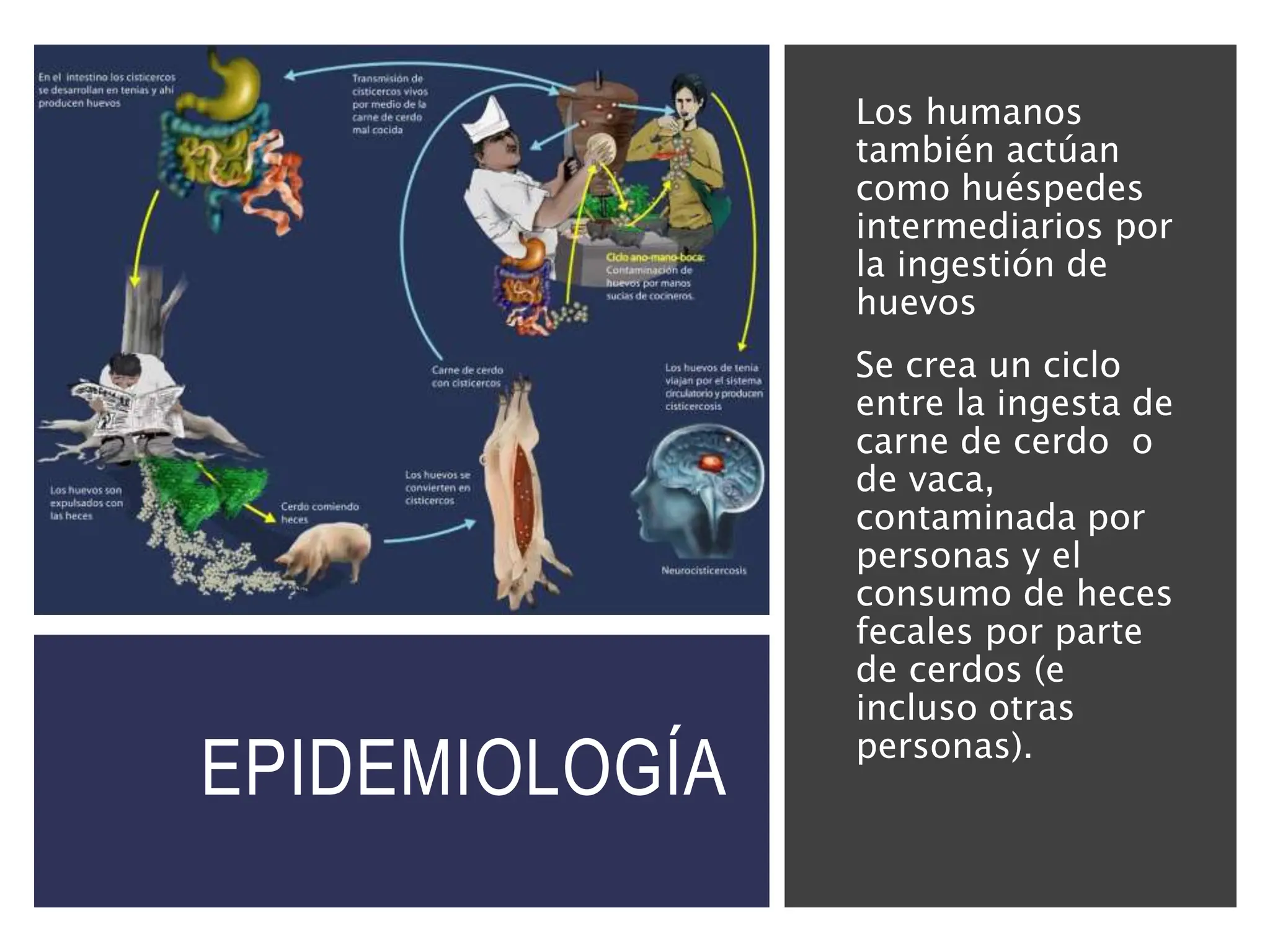 PULUPA TARIS KAREN BRIGETTE-CASO CLINICO-CISTICERCOSIS.pptx