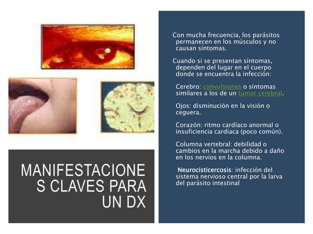 PULUPA TARIS KAREN BRIGETTE-CASO CLINICO-CISTICERCOSIS.pptx