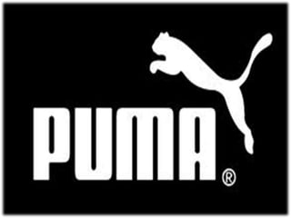 Puma Case Study | PPTX