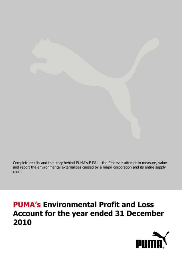 Puma EP&L | PDF