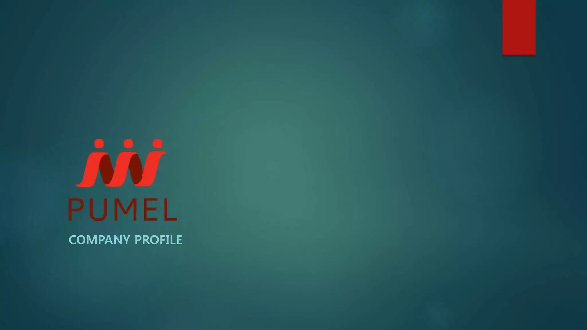 Pumel company profile | PPSX | Human Resources | Business