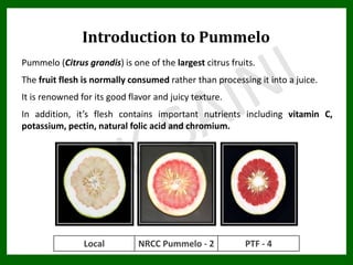 Biochemical changes during post harvest storage of pummelo | PPTX ...