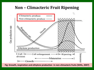 Biochemical changes during post harvest storage of pummelo | PPTX ...