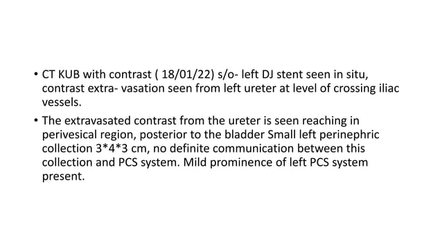 Pummi.pptx kjvuvuiuhhb vgviu vfdyi yu yyyyt | PPT