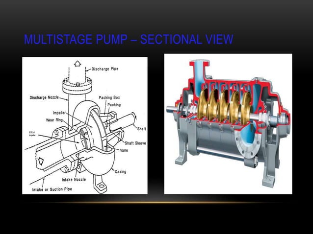 Pump Basics.ppt | Physics | Science