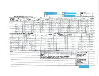 Pumper report template | PDF