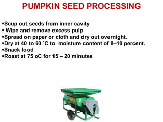 KADUU (PUMPKIN - Cucurbita pepo ) PROCESSING TECHNNOLOGY - VIBRANT ...