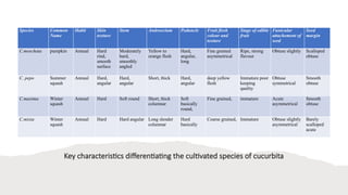 Pumpkin crop production technology .pptx