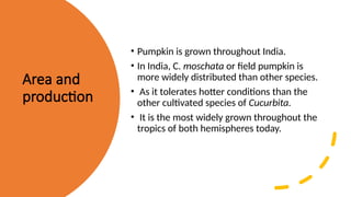 Pumpkin crop production technology .pptx