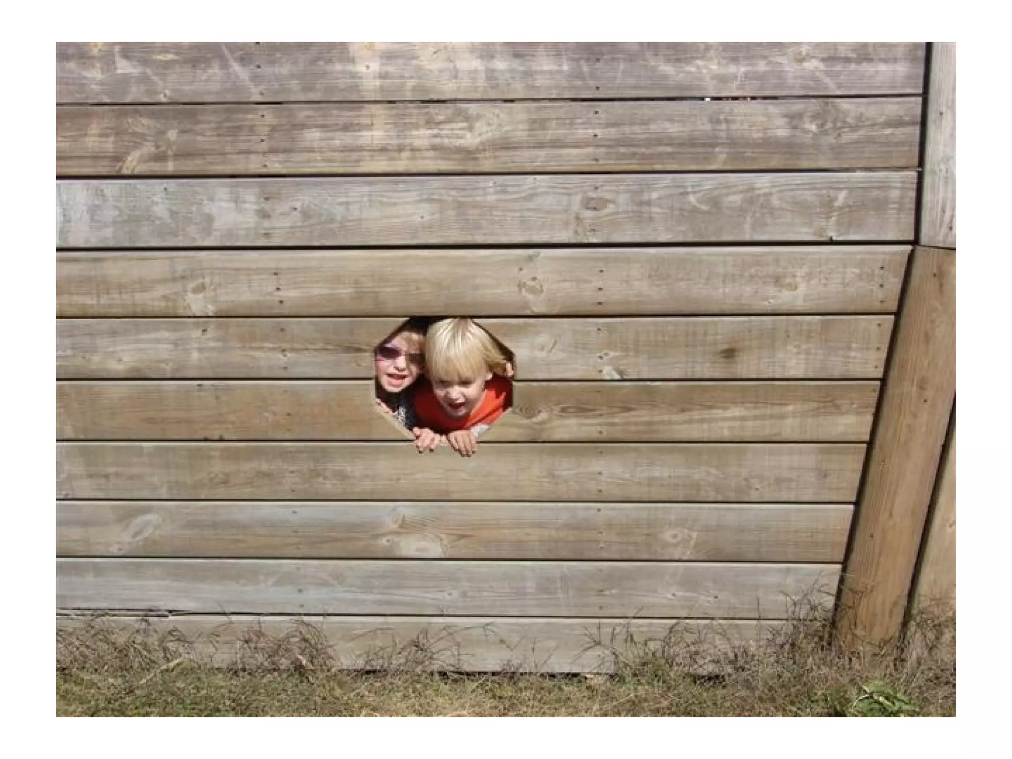 Pumpkin Patch Slide Show | PPT