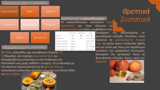 Κολοκύθα | PPT