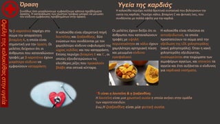 Κολοκύθα | PPT