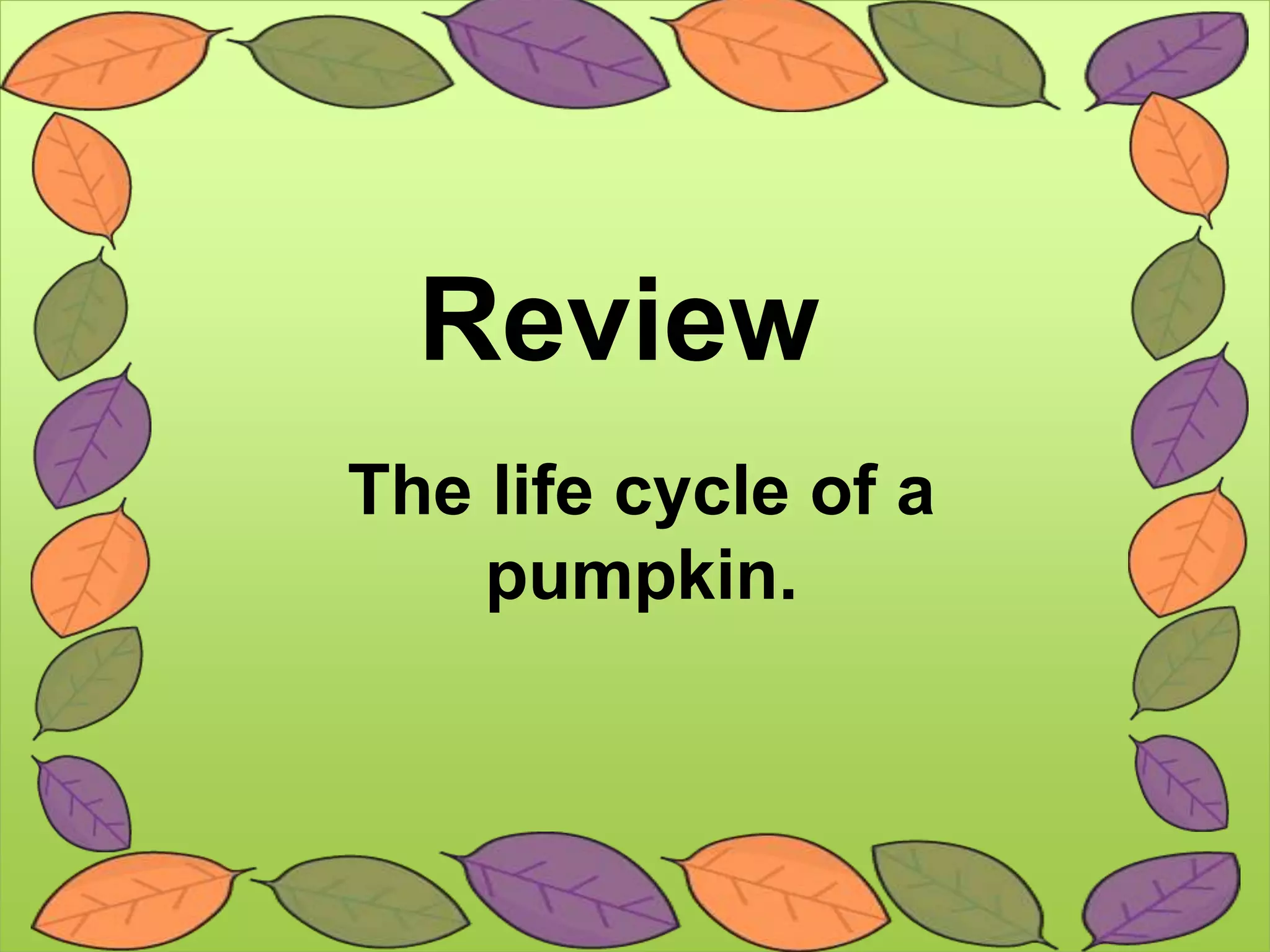 Life Cycle of a Pumpkin | PPT