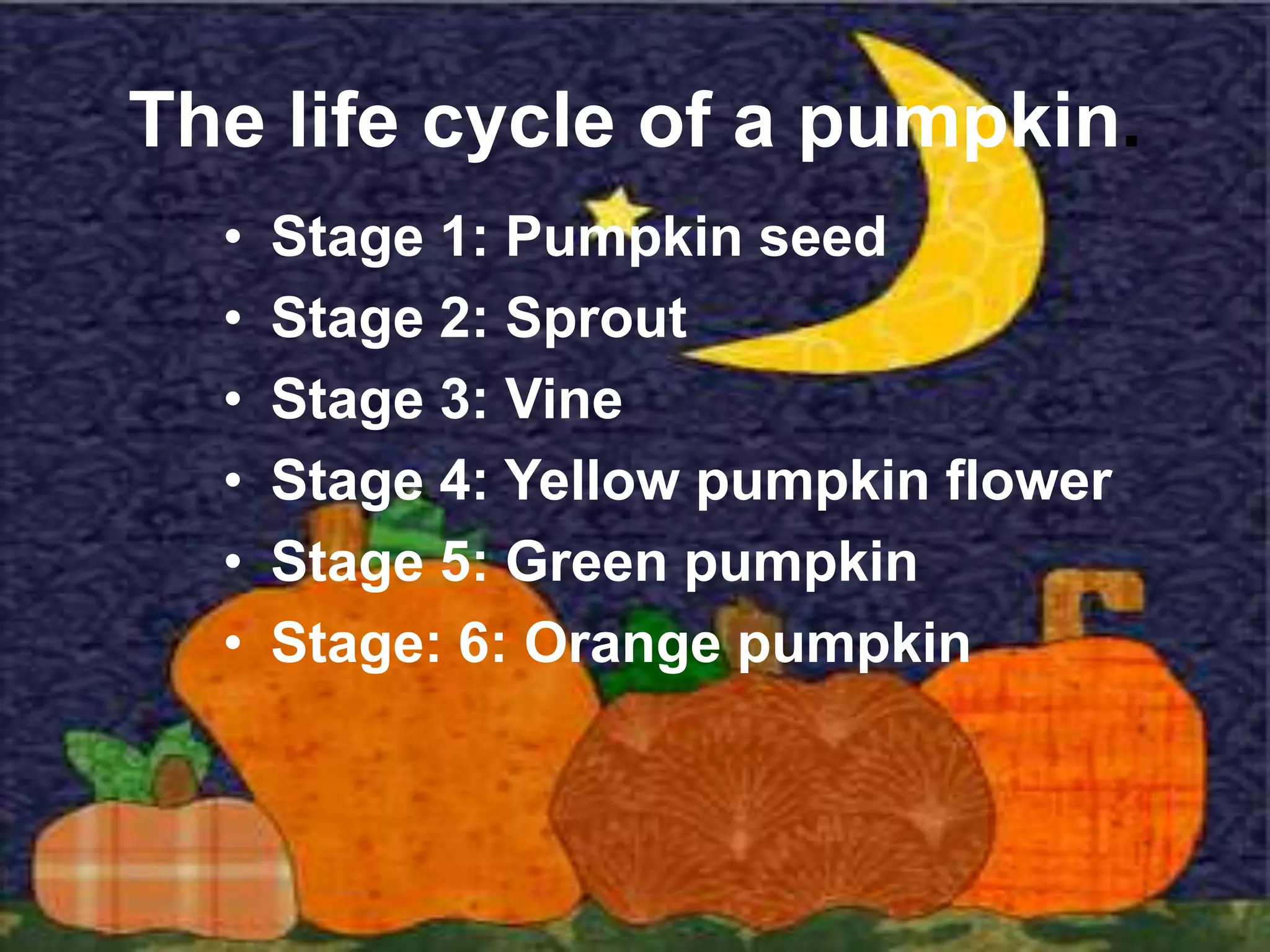 Life Cycle of a Pumpkin | PPT