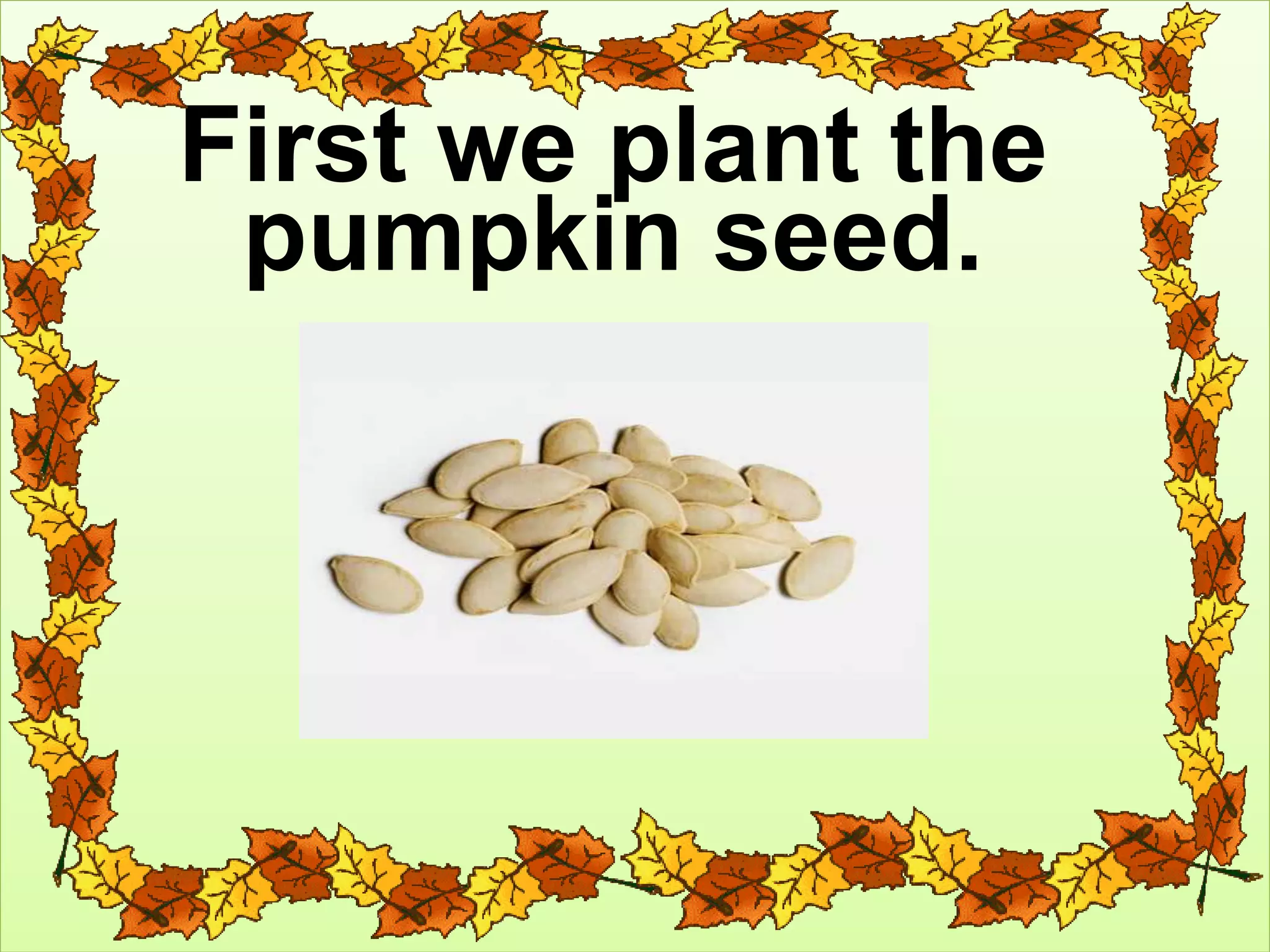 Life Cycle of a Pumpkin | PPT