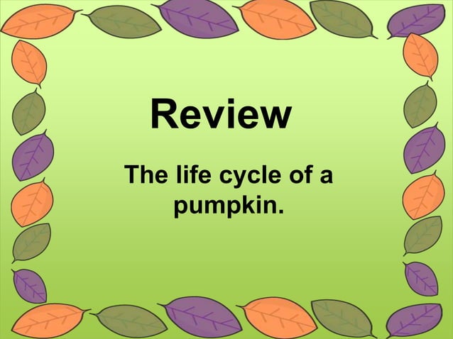 Life Cycle of a Pumpkin | PPT