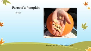 Pumpkins | PPT