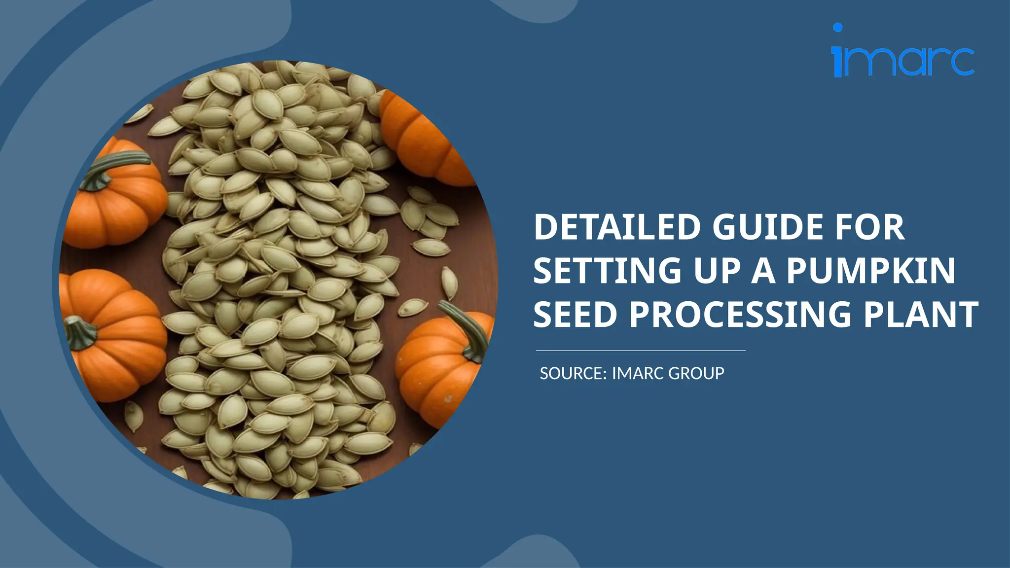 Pumpkin Seed Processing Plant Project Report.pptx