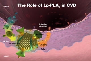 Atherosclerosis, pumpsandpipesmdhc | PPT
