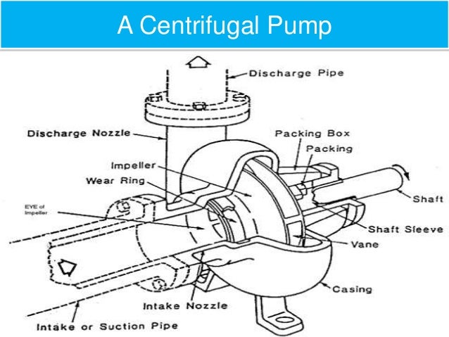 Pumps and piping