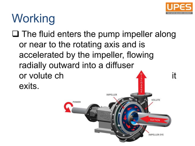 Losses in Pumps | PPTX | Physics | Science