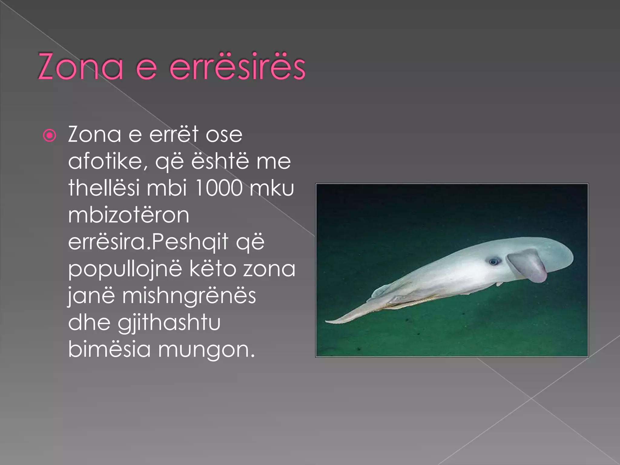 Faktorët abiotik që karakterizoje biomat e ujërave të kripura Klevis ...