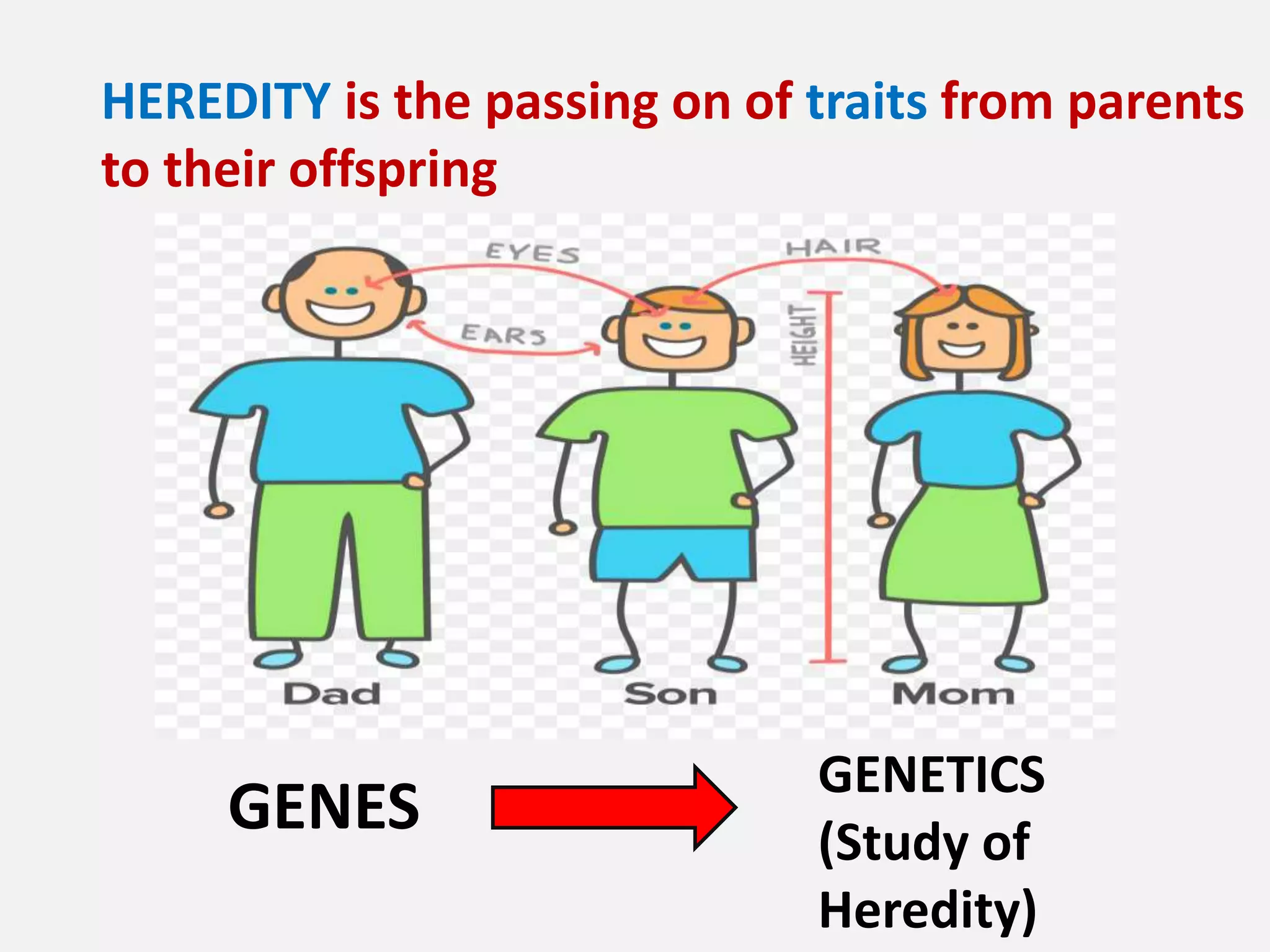 ROLE OF HEREDITY AND ENVIRONMENT IN SPORTS | PPT
