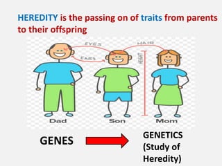 ROLE OF HEREDITY AND ENVIRONMENT IN SPORTS | PPT