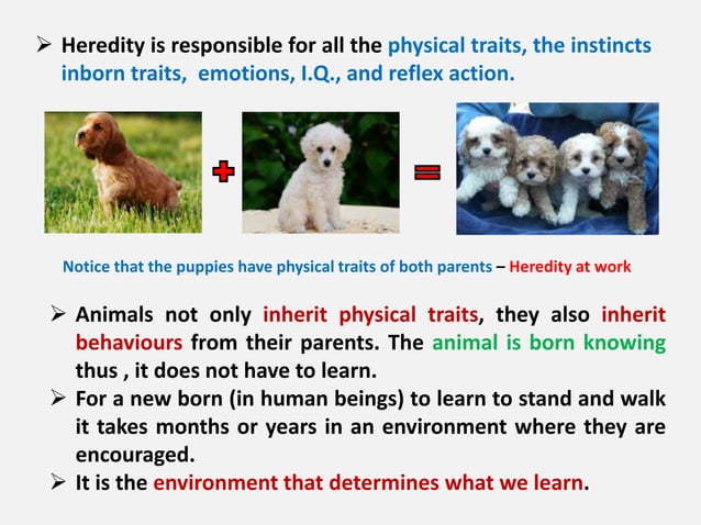 ROLE OF HEREDITY AND ENVIRONMENT IN SPORTS | PPT