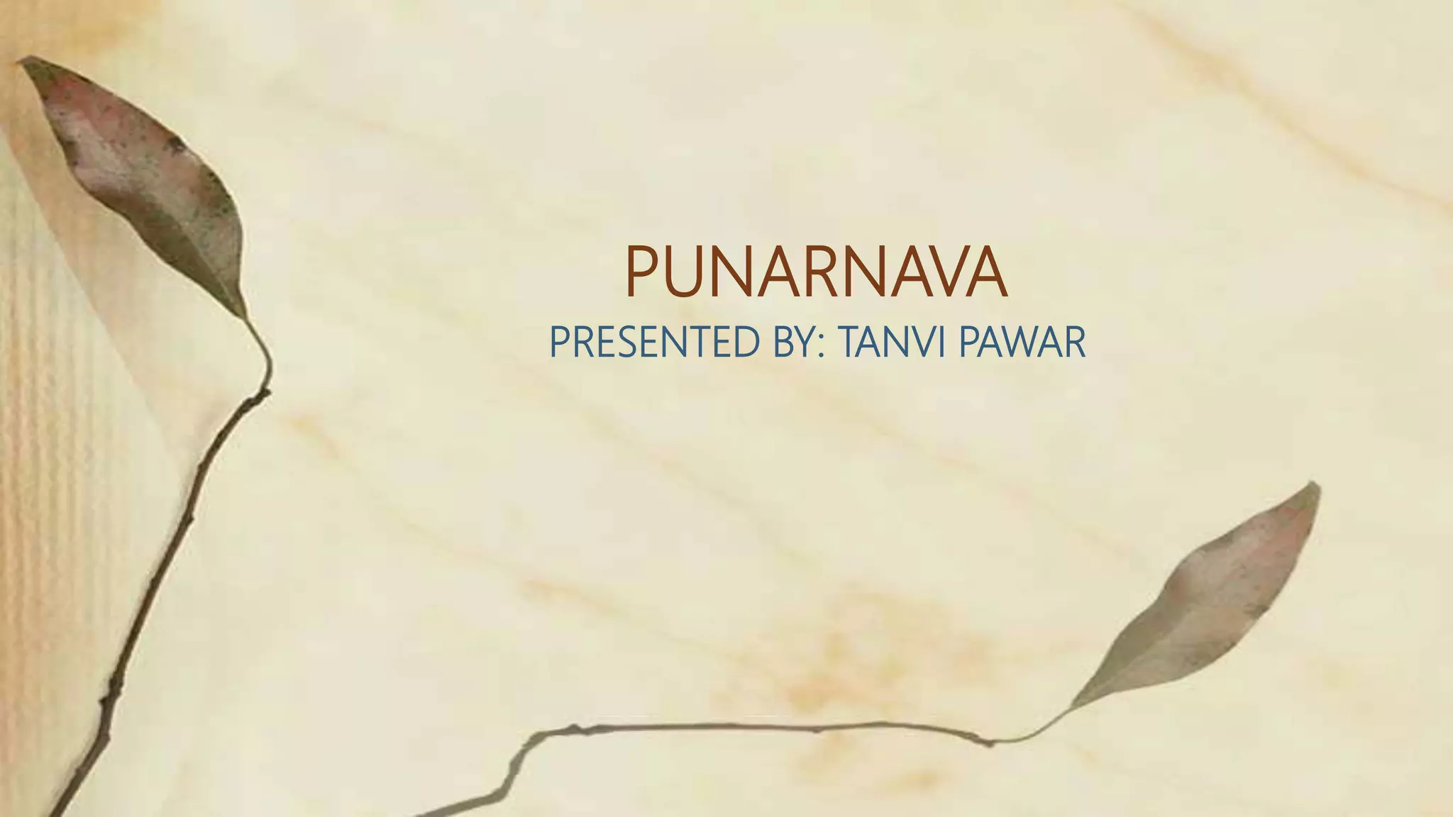 Punarnava | PPTX