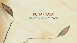 Punarnava | PPTX