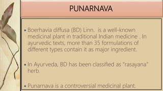 Punarnava | PPTX