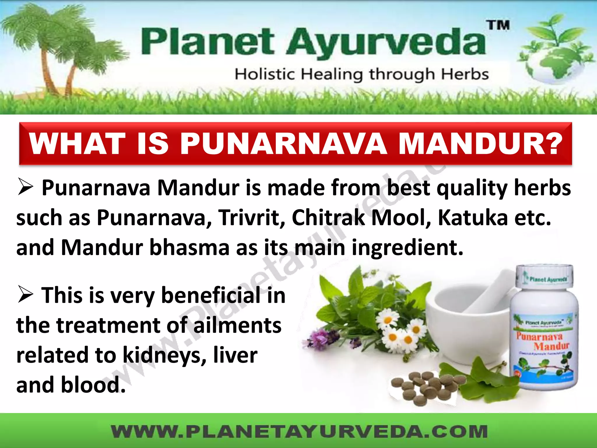 Punarnava Mandur - Benefits, Ingredients, Dosage and Side Effects | PPTX