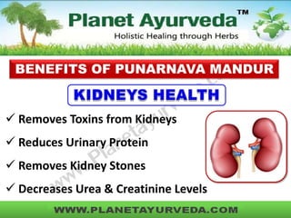 Punarnava Mandur - Benefits, Ingredients, Dosage and Side Effects | PPTX