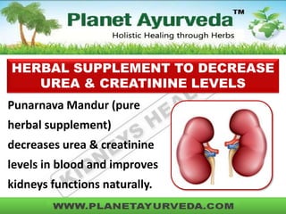 Punarnava Mandur - Benefits, Ingredients, Dosage and Side Effects | PPTX