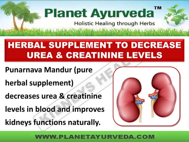 Punarnava Mandur - Benefits, Ingredients, Dosage and Side Effects ...