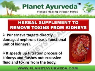 Punarnava Mandur - Benefits, Ingredients, Dosage and Side Effects | PPT