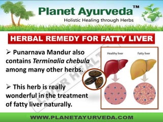 Punarnava Mandur - Benefits, Ingredients, Dosage and Side Effects | PPT