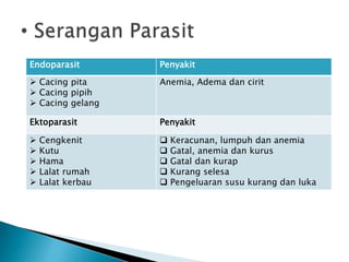 Punca penyakit ternakan | PPTX