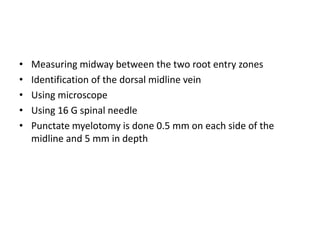 Punctate midline myelotomy | PPT