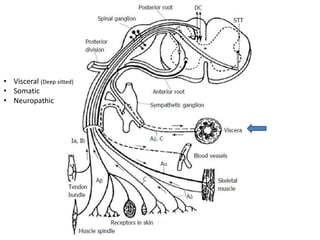 Punctate midline myelotomy | PPTX