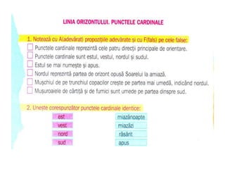 puncte cardinale.pptx