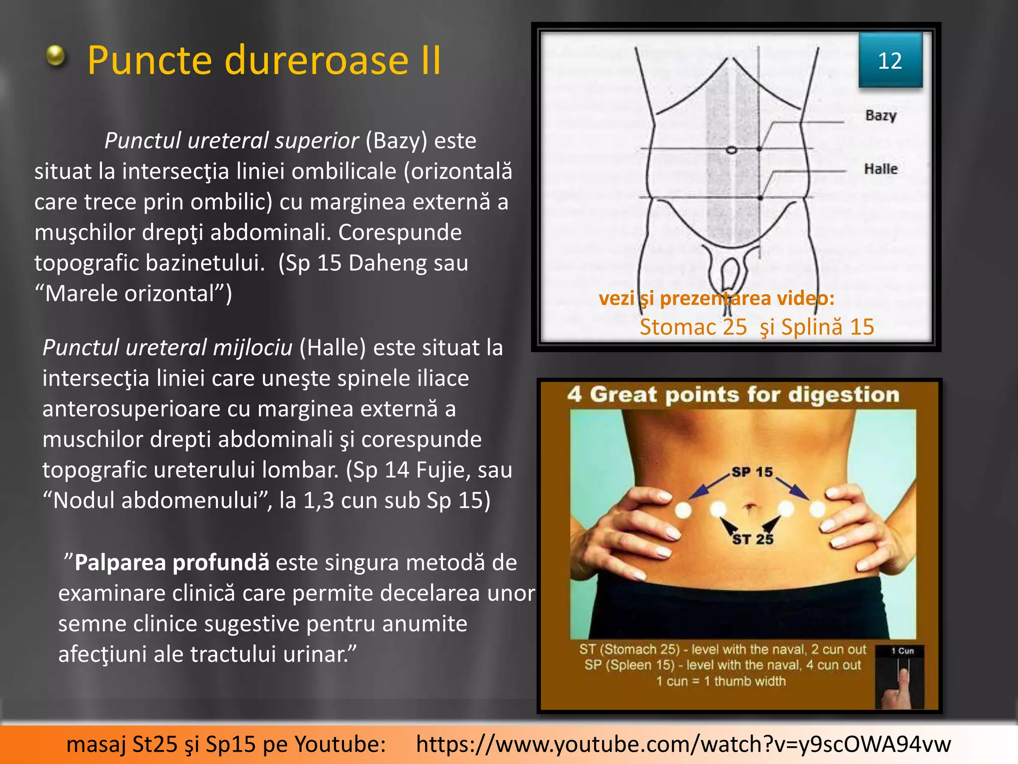 Puncte dureroase pe abdomen mai 2016 | PPSX