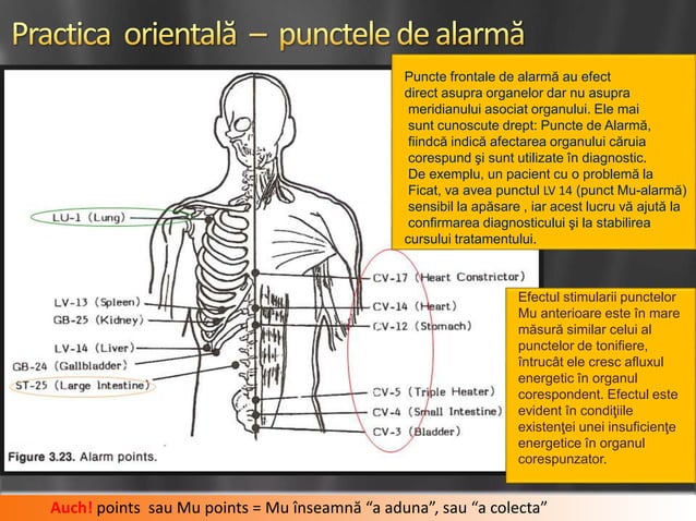 Puncte dureroase pe abdomen mai 2016 | PPSX