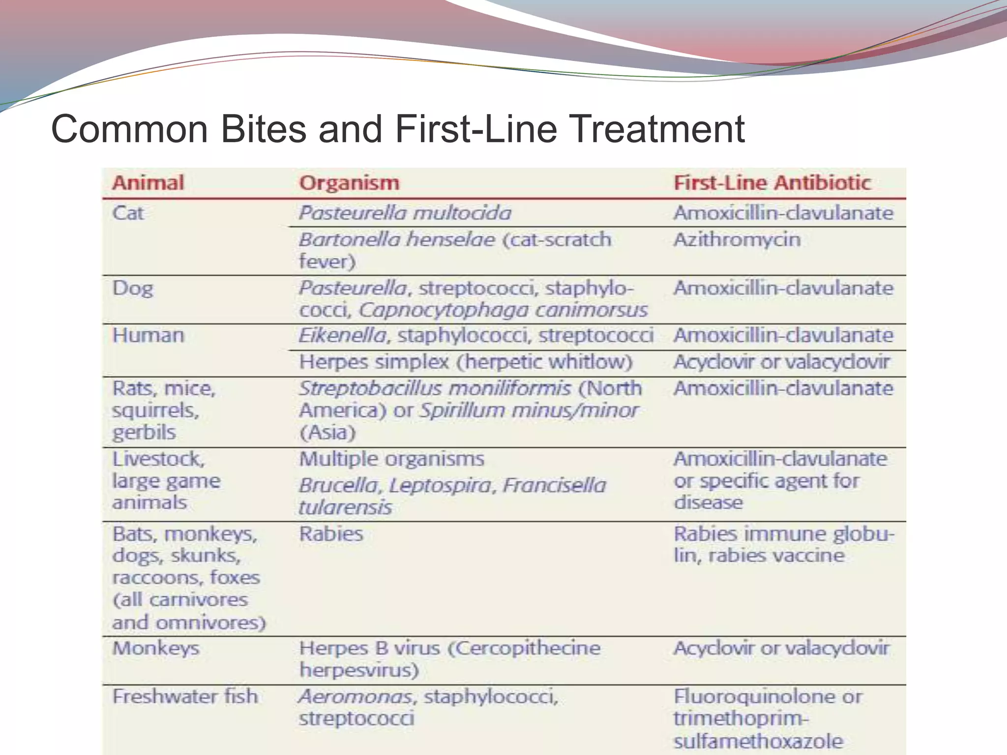 Puncture wounds and bites | PPTX | First Aid | Injuries