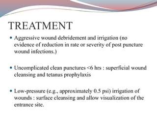 Puncture wounds and bites | PPTX