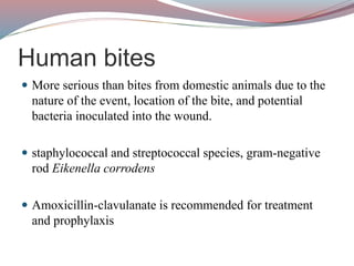 Puncture wounds and bites | PPTX