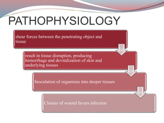 Puncture wounds and bites | PPTX
