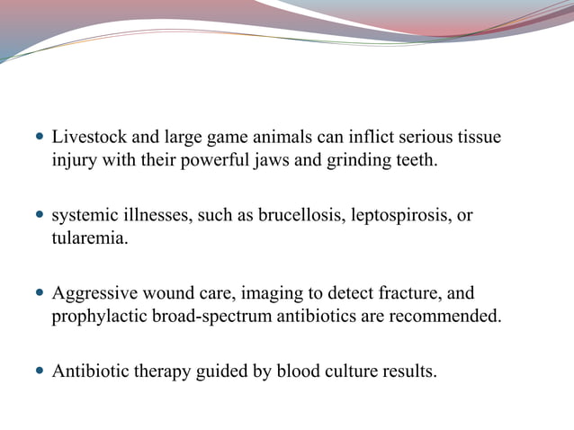 Puncture wounds and bites | PPTX | First Aid | Injuries