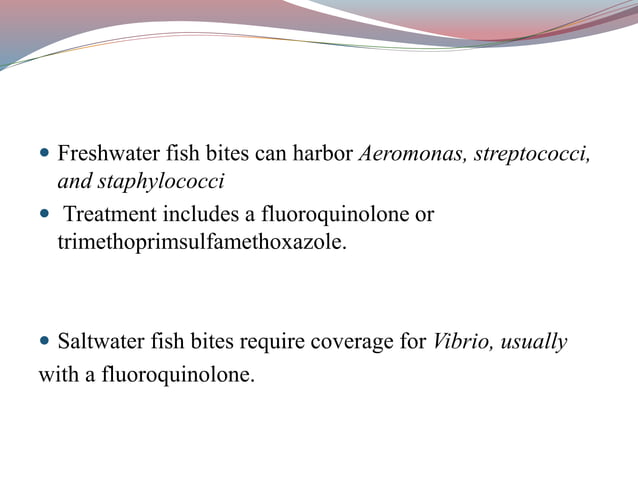 Puncture wounds and bites | PPTX | First Aid | Injuries